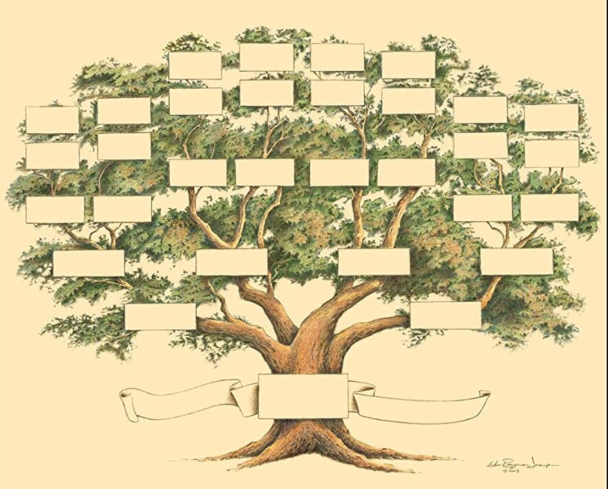 Join our Family Tree - Scott-McGill Family History